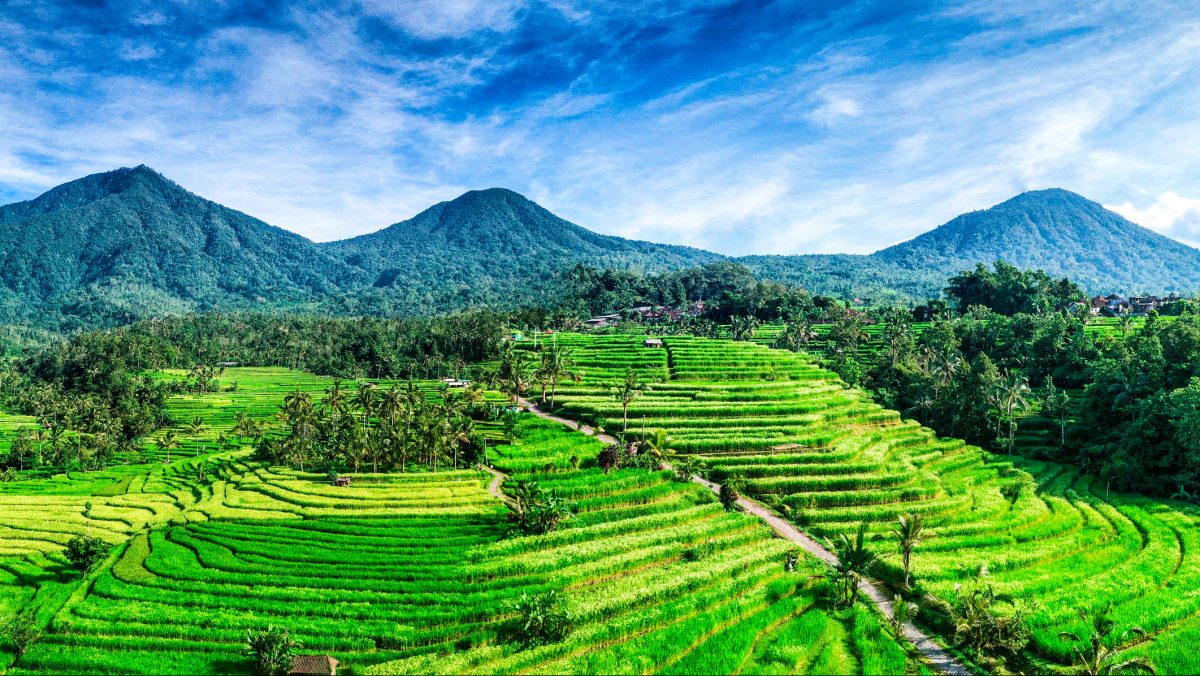 Tabanan in Bali - Why Visit? • Elite Havens MAGAZINE